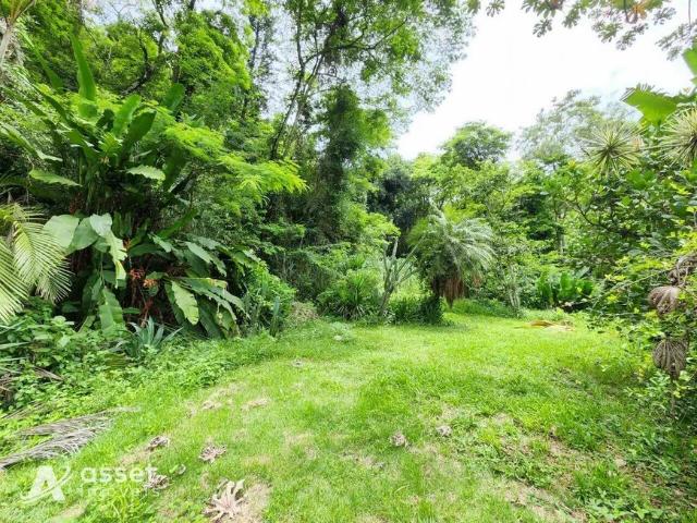Fazenda/Sítio com 3 Quartos e 2 banheiros à Venda, 164347 m² por R$ 3.600.000