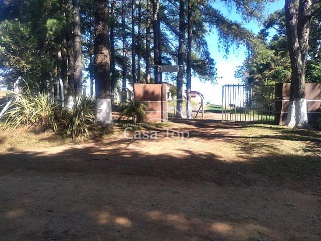 Fazenda/Sítio com 3 Quartos e 2 banheiros à Venda, 4300 m² por R$ 5.000.000