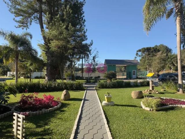 Fazenda/Sítio com 3 Quartos e 2 banheiros à Venda, 60 m² por R$ 290.000