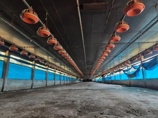 Fazenda/Sítio com 3 Quartos e 3 banheiros à Venda, 400 m² por R$ 1.250.000