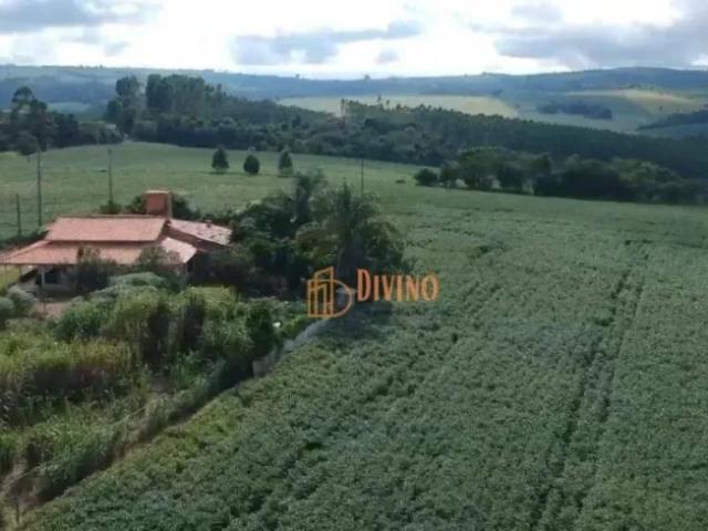 Fazenda/Sítio com 4 Quartos e 2 banheiros à Venda, 156000 m² por R$ 1.400.000