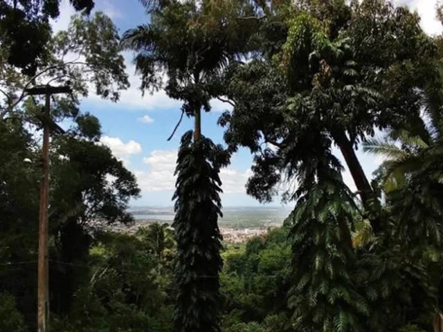 Fazenda/Sítio com 4 Quartos e 5 banheiros à Venda, 128300 m² por R$ 529.000