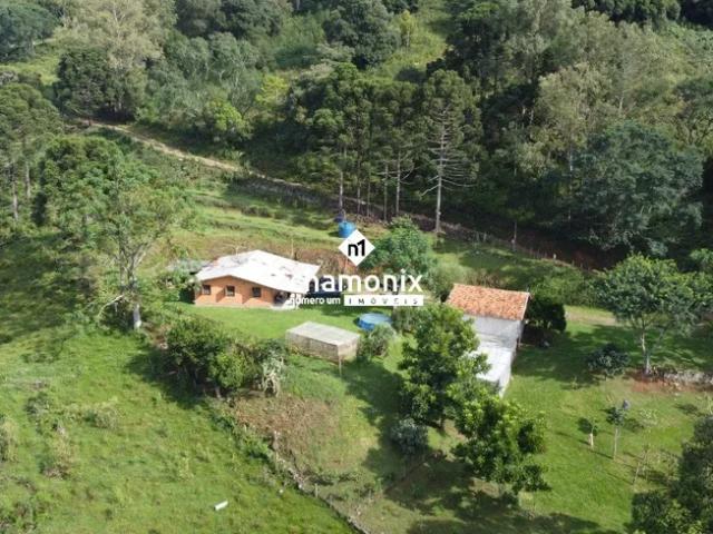 Fazenda/Sítio com 5 Quartos e 2 banheiros à Venda, 36300 m² por R$ 490.000