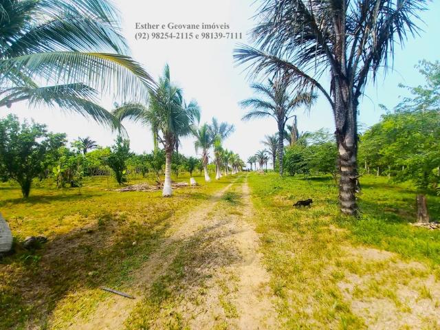 Fazenda/Sítio com 5 Quartos e 3 banheiros à Venda, 38200 m² por R$ 1.000.000