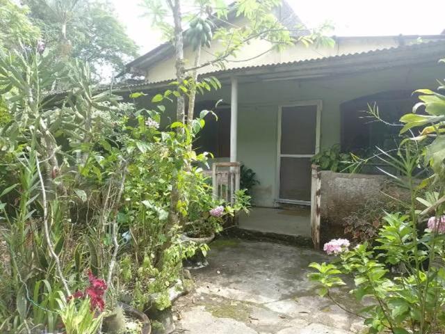 Fazenda/Sítio com 5 Quartos e 3 banheiros à Venda, 5181 m² por R$ 370.000