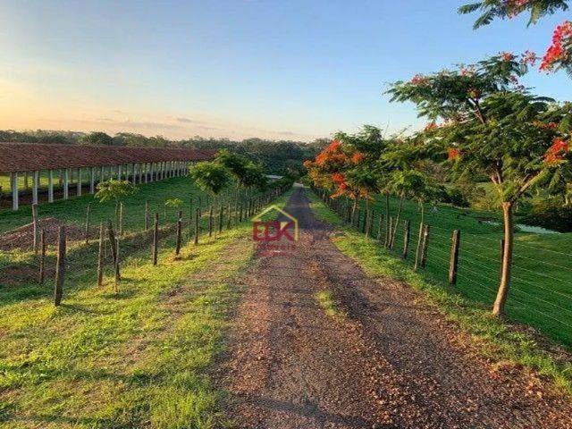 Fazenda/Sítio com 5 Quartos e 6 banheiros à Venda, 457380 m² por R$ 5.500.000