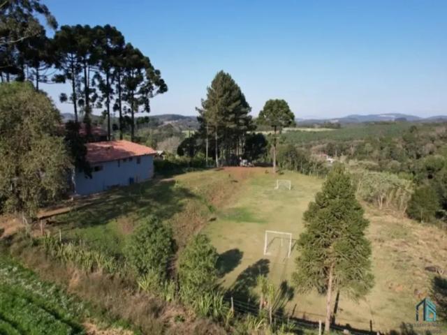 Fazenda/Sítio com 5 Quartos e 6 banheiros à Venda, 650 m² por R$ 3.898.500