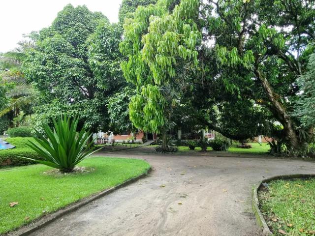 Fazenda/Sítio com 6 Quartos e 6 banheiros à Venda, 562 m² por R$ 1.090.000