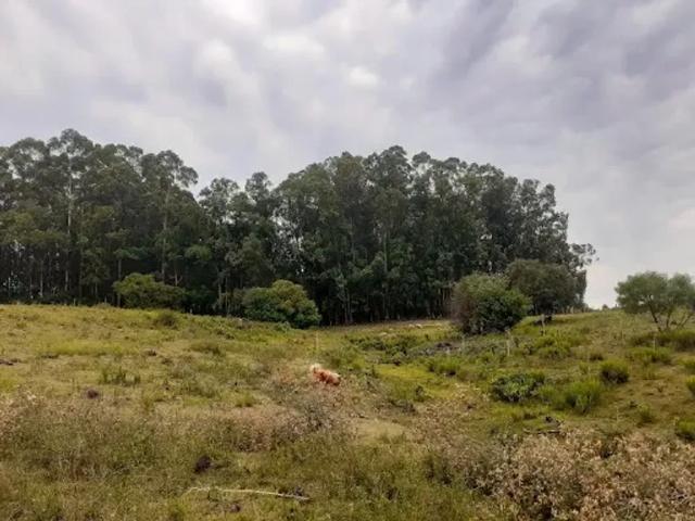 Fazenda/Sítio à Venda, 50000 m² por R$ 3.000.000