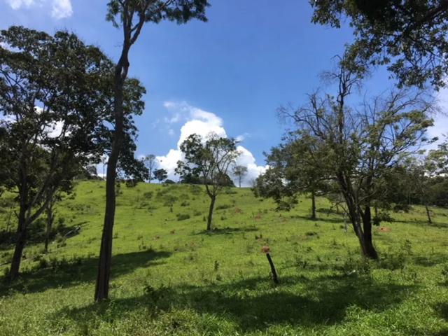 Fazenda/Sítio à Venda, 58000 m² por R$ 420.000