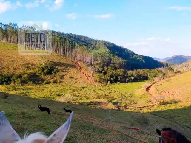 Fazenda/Sítio à Venda, 6195200 m² por R$ 7.680.000