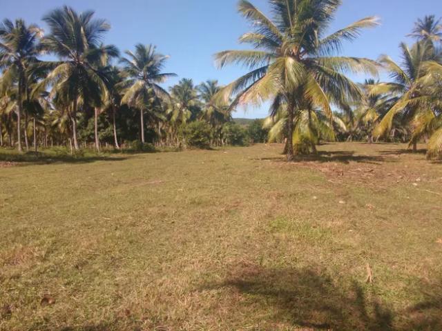 Fazenda/Sítio à Venda, 74000 m² por R$ 200.000