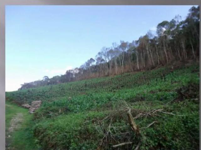 Fazenda/Sítio à Venda, 919600000 m² por R$ 6.000.000