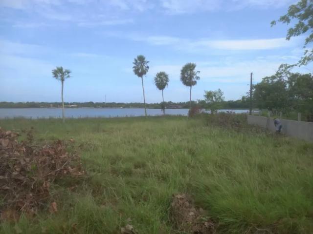Fazenda/Sítio à Venda, 9600 m² por R$ 180.000