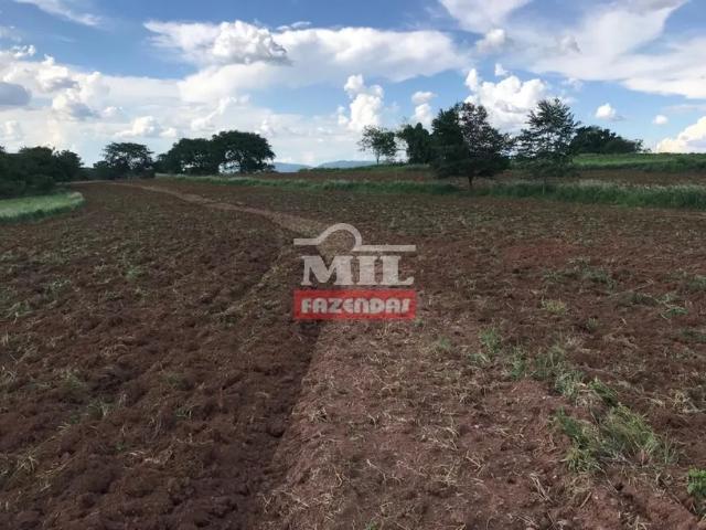 Fazenda/Sítio à Venda, 116 m² por R$ 7.200.000
