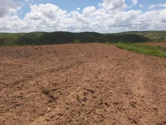 Fazenda/Sítio à Venda, 120395 m² por R$ 210.000