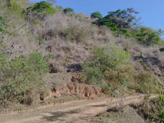 Fazenda/Sítio à Venda, 152460 m² por R$ 378.000