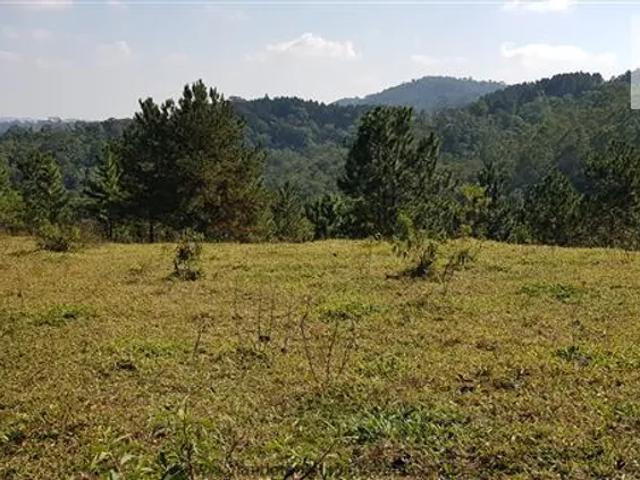 Fazenda/Sítio à Venda, 240000 m² por R$ 1.380.000