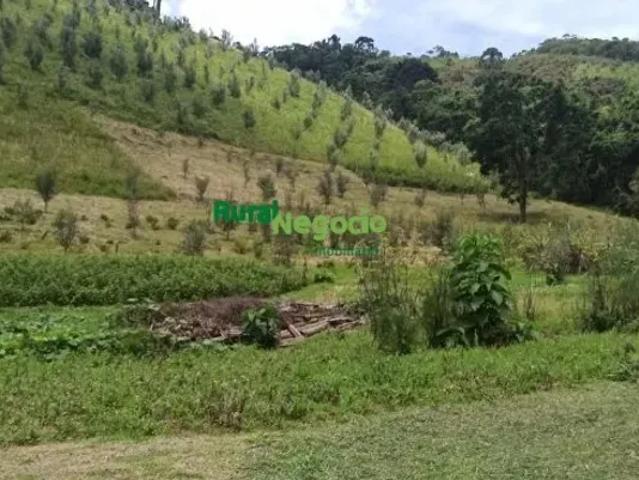Fazenda/Sítio à Venda, 266200 m² por R$ 1.200.000