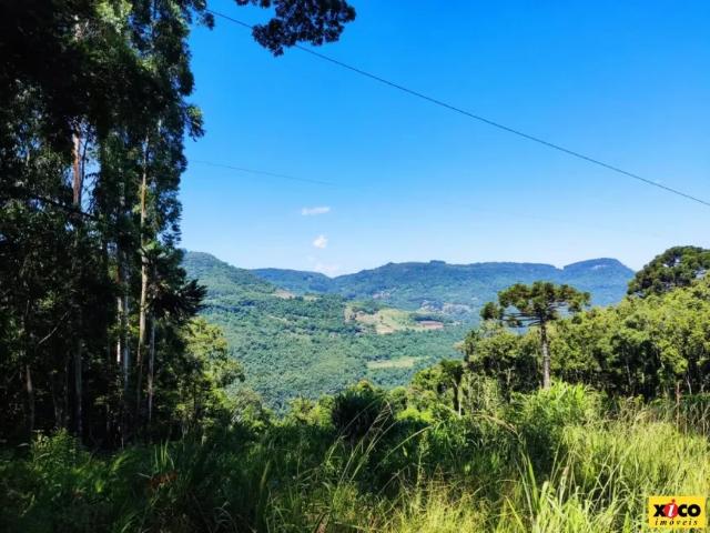 Fazenda/Sítio à Venda, 30000 m² por R$ 350.000