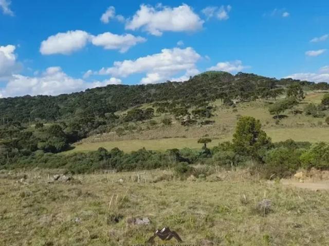 Fazenda/Sítio à Venda por R$ 490.000