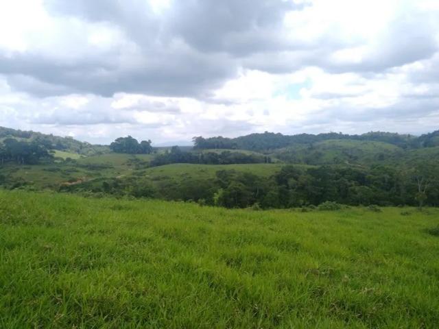 Fazenda/Sítio à Venda por R$ 4.200.000