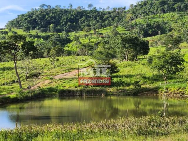 Fazenda/Sítio à Venda por R$ 75.000