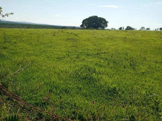 Fazenda/Sítio à Venda por R$ 8.000.000
