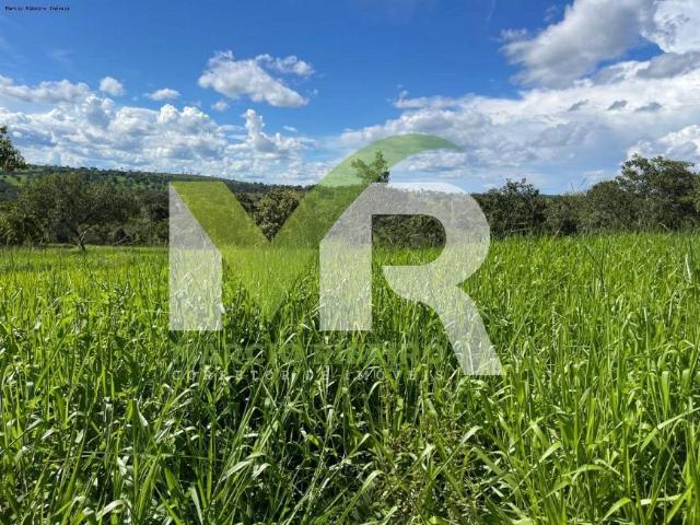 Fazenda/Sítio à Venda por R$ 1.600.000