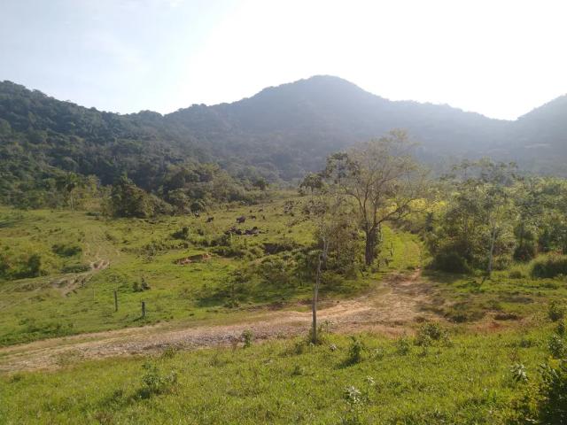 Fazenda/Sítio à Venda por R$ 3.500.000