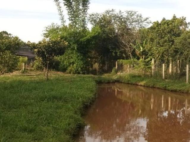 Fazenda/Sítio/Chácara Bairro da gloria