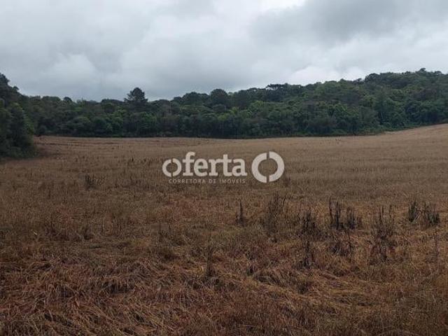 Fazenda/Terreno na Lapa 22,5 alqueires