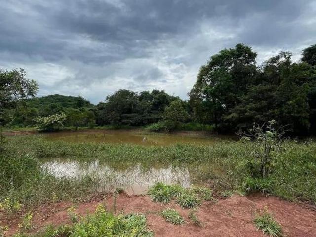 Fazendinha a margem da Rodovia DF 205 Com rio no fundo