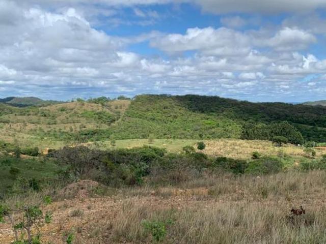 Fazendinha a venda