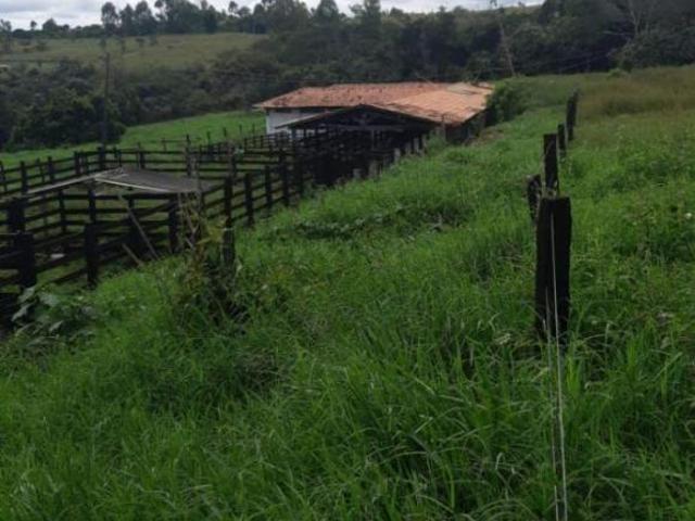 FAZENDINHA À VENDA COM 8 ALQUEIRES – MUNICÍPIO DE COCALZINHO/GO