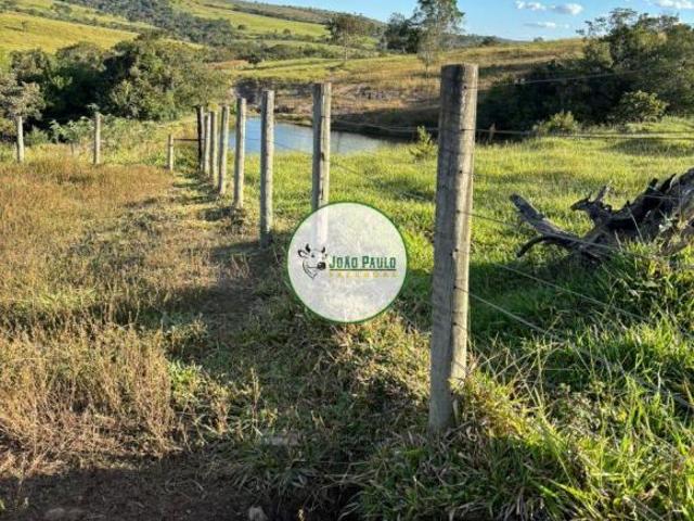 Fazendinha a venda em Girassol GO 60 Hectares 60% da área é plana