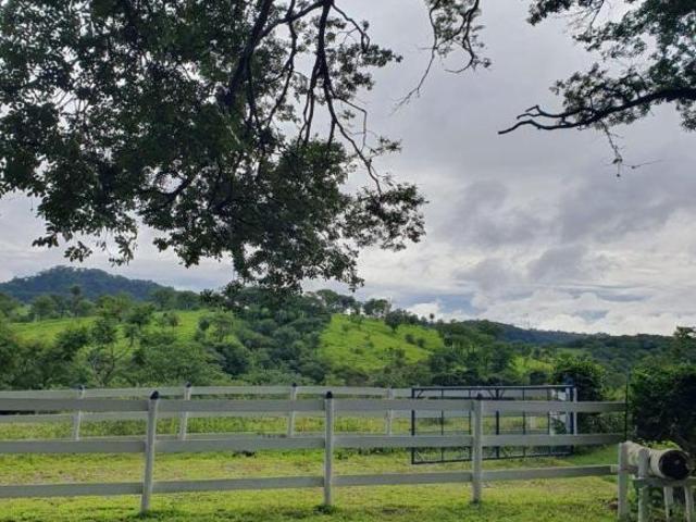 Fazendinha com 19,9 ha há 10 minutos do centro de Sete Lagoas/MG