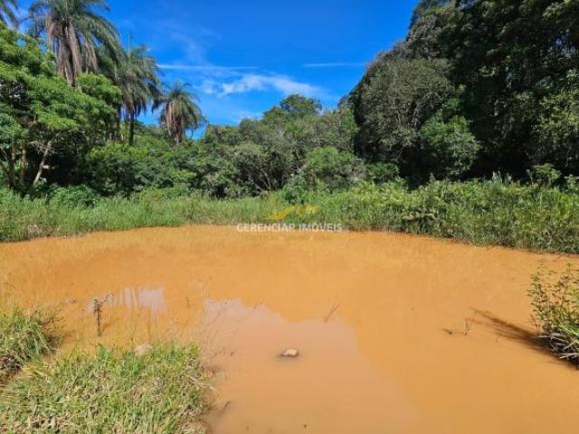 Fazendinha de 15 hectares com água nos fundos à venda em Juatuba/MG