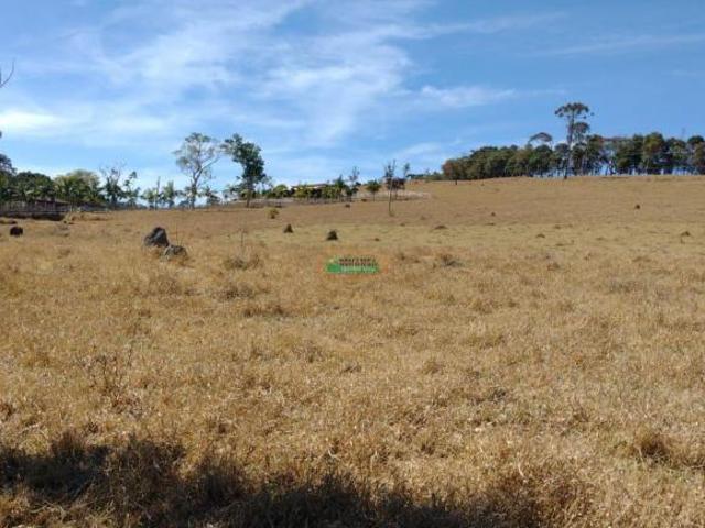 Fazendinha em Alfredo Vasconcelos a 5Km Barbacena