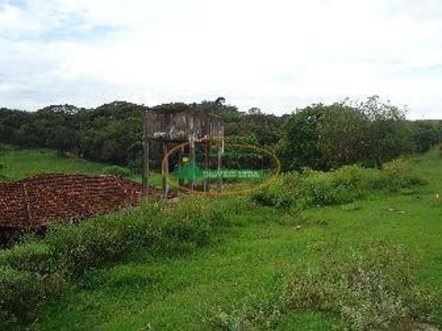 Fazendinha em Aranha na região de Brumadinho MG!