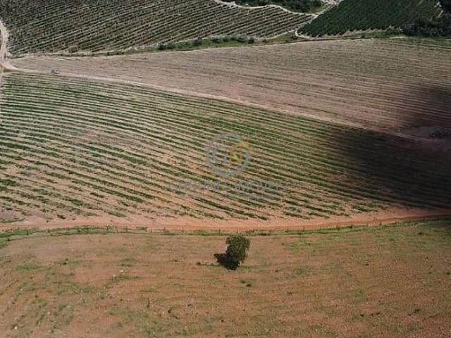 Fazendinha em Lavras MG: 57ha com 10ha de Café e Pecuária
