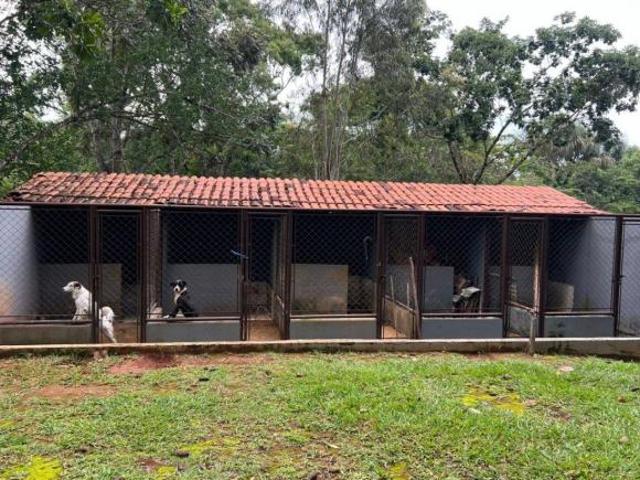 Fazendinha/Haras dos sonhos em Luziânia GO! 20 hectares totalmente formados, água abundante repres