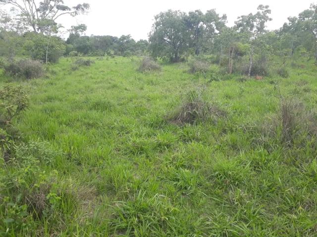 Fazendinhas 20.000m2 Financiadas, com LAGOA. Água, Luz e Cerca Araçaí MG