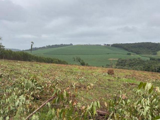 Fazendinhas/terreno à venda, 20.000 m² a partir R$ 180.000 Zona Rural Itatiaiuçu/Itaguara/MG