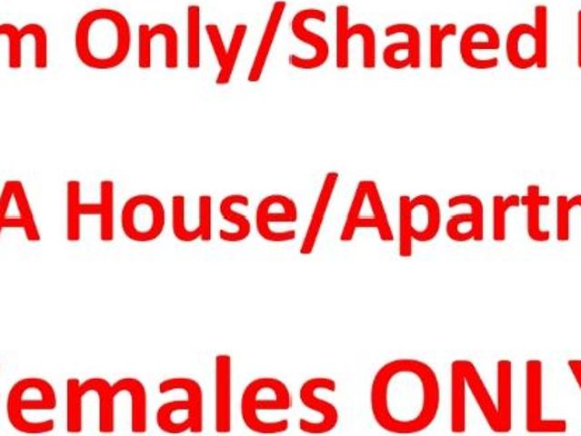 FEMALE ONLY_CLEANSAFEQUIET Room Drama Free