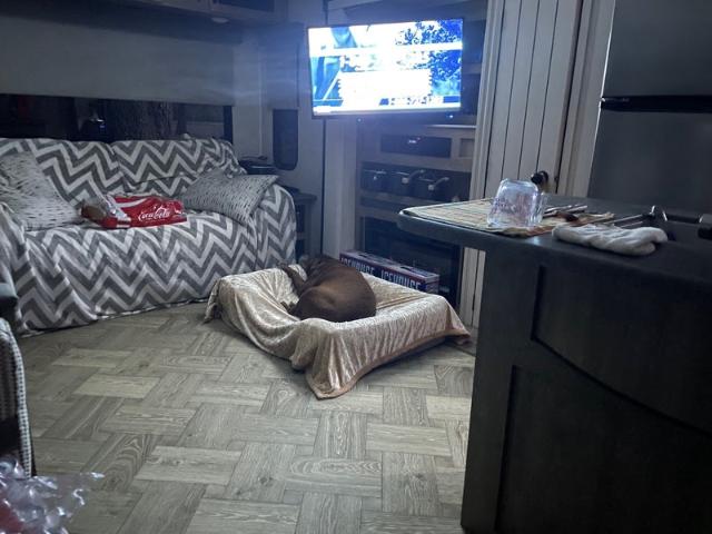 Female roommate