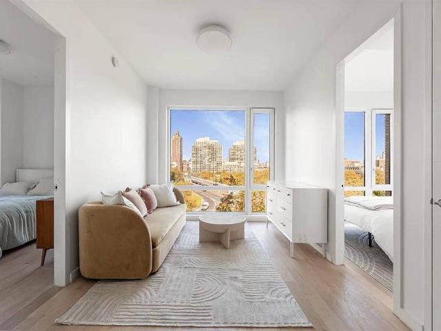 Female Roommate | DT Bklyn $3,250