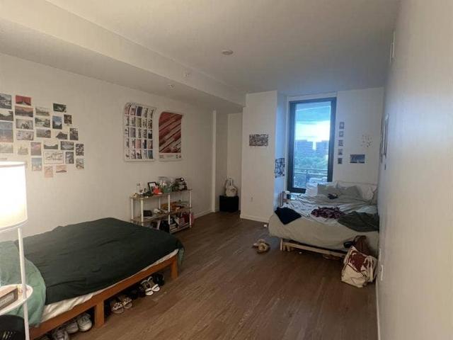 Female Roommate in Rosslyn VA