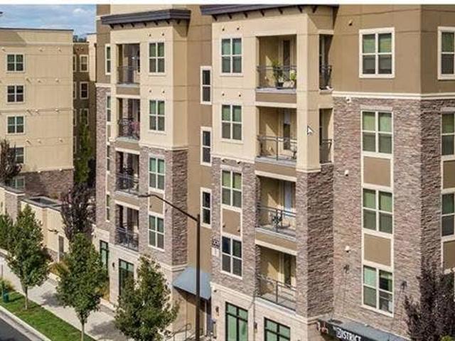 Female Roommate Needed ASAP
