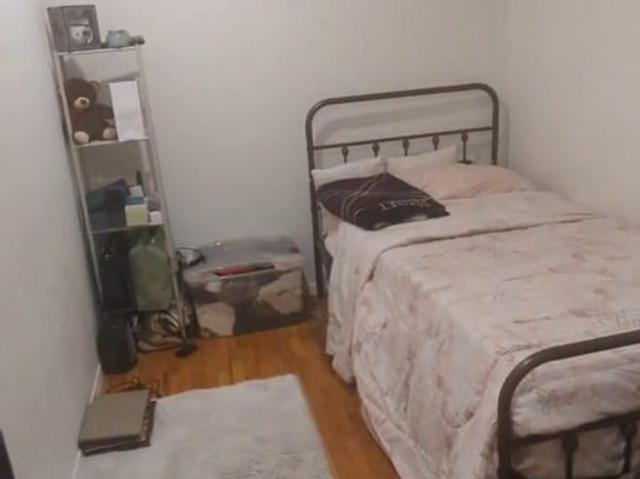 Female Roommate Needed